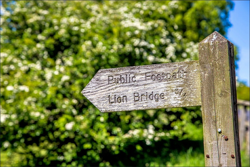 Alnwick walk - River Aln walk - Alnwick Garden - Northumberland walks