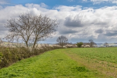 Chalkland Way - Yorkshire Wolds walks - East Yorkshire walks