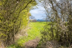 Chalkland Way - Yorkshire Wolds walks - East Yorkshire walks