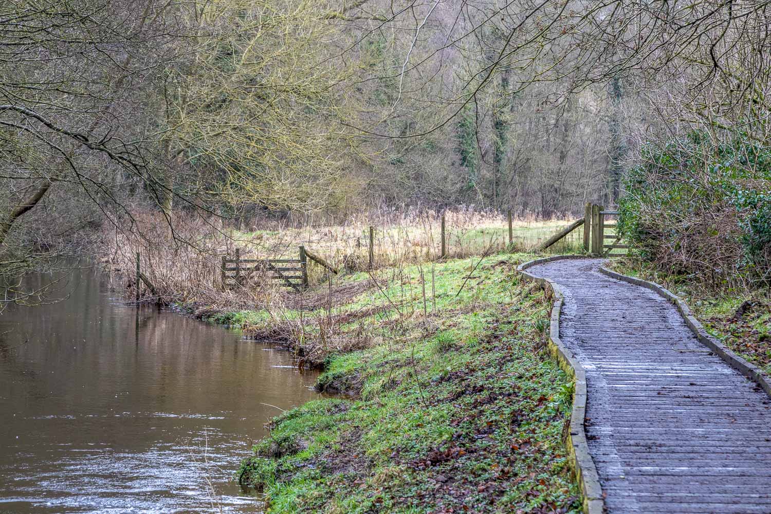 Forge Valley walk - Forge Valley Woods walk - North Yorks walks