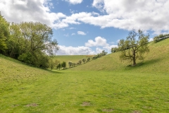 Huggate circular - Huggate walks - Yorkshire Wolds walks