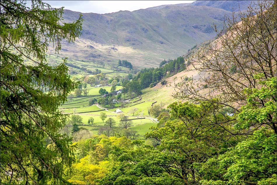 Place Fell walk - Patterdale walks - Ullswater walks - Lake District walks