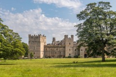 Raby Castle walk - Raby Castle deer park - walks in County Durham