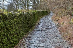 Slater Bridge walk - Slaters Bridge walk walk - Langdale walks