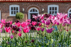 Sledmere House - Sledmere House and Gardens
