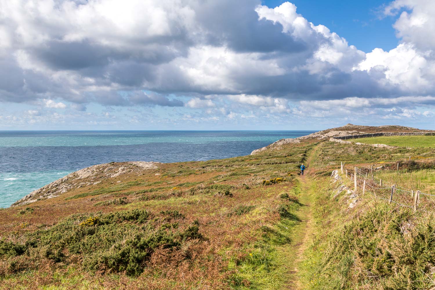 Strumble Head walk - Garn Fawr walk - Pembrokeshire coast walks