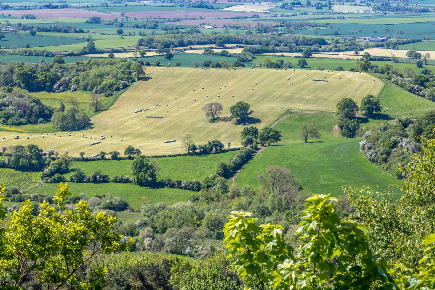 Sutton Bank - Andrews Walks