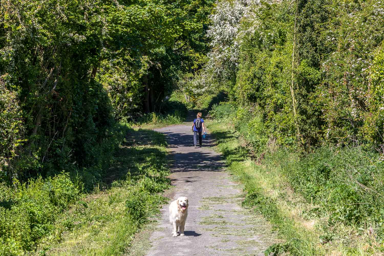 Sutton Bank - Andrews Walks