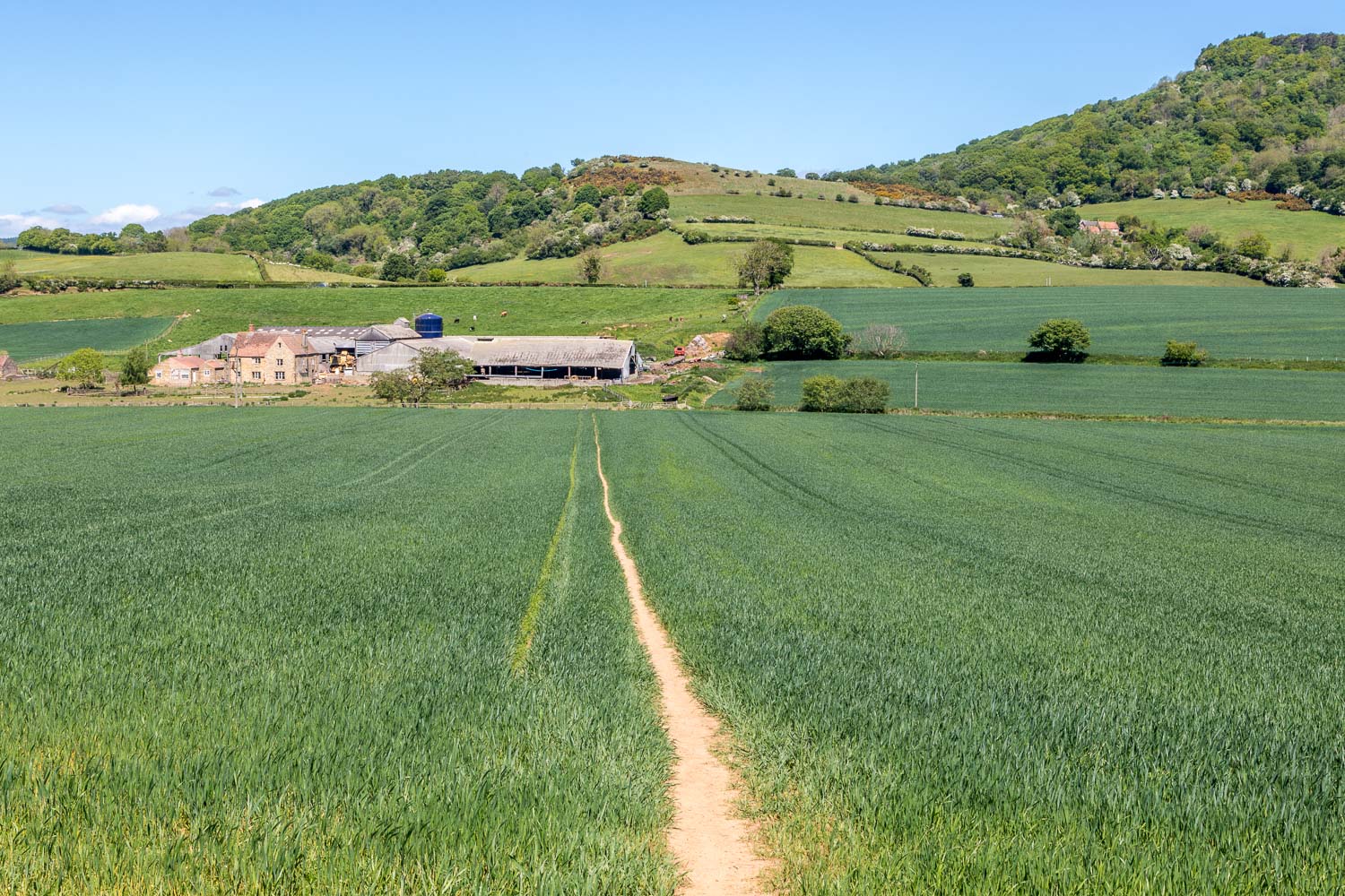Sutton Bank - Andrews Walks