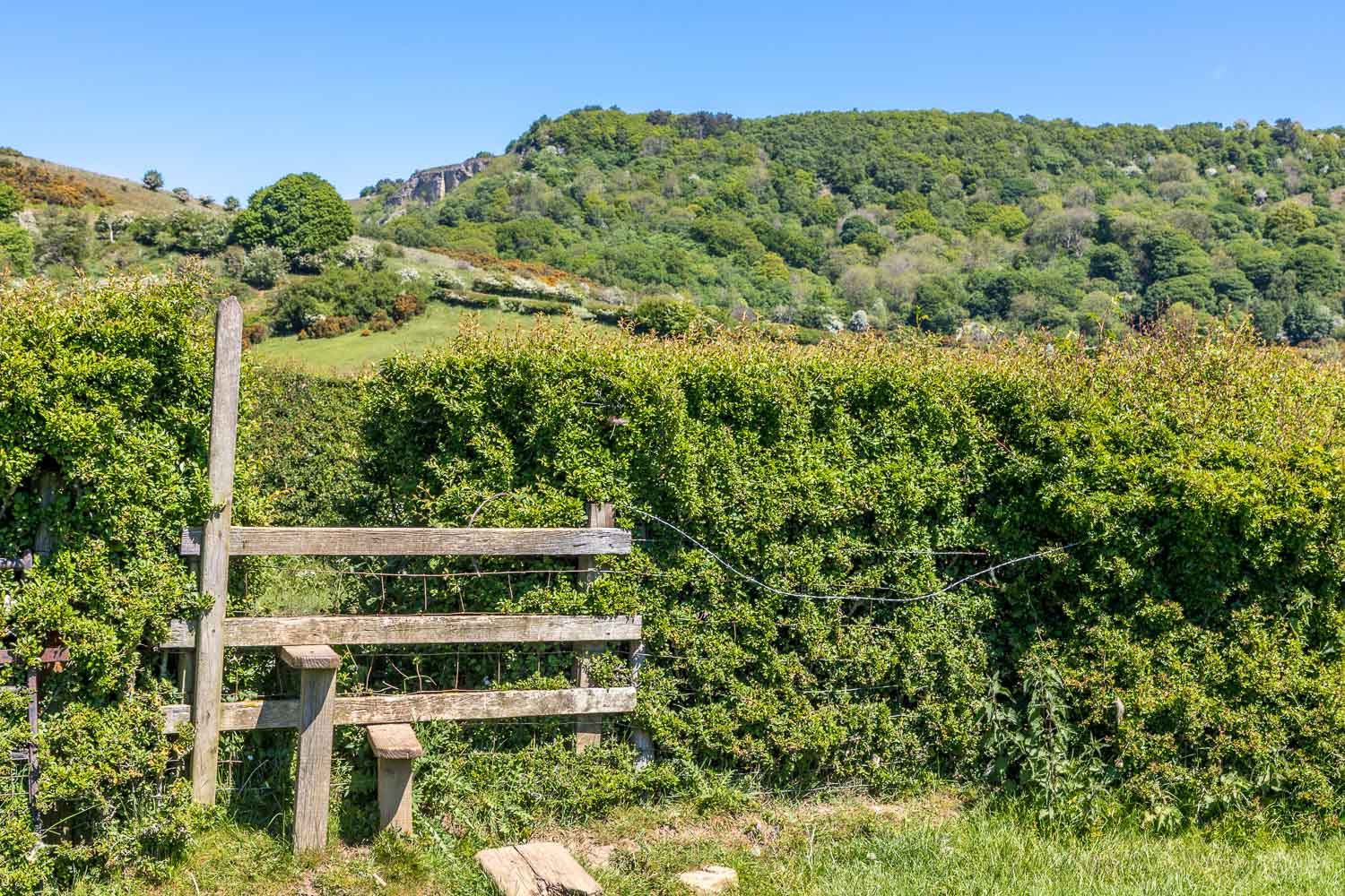 Sutton Bank - Andrews Walks