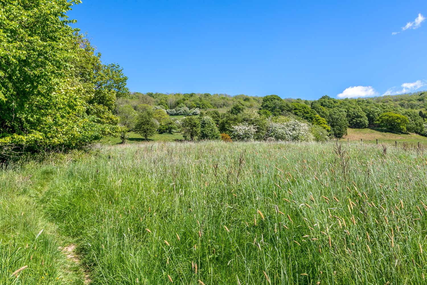 Sutton Bank - Andrews Walks