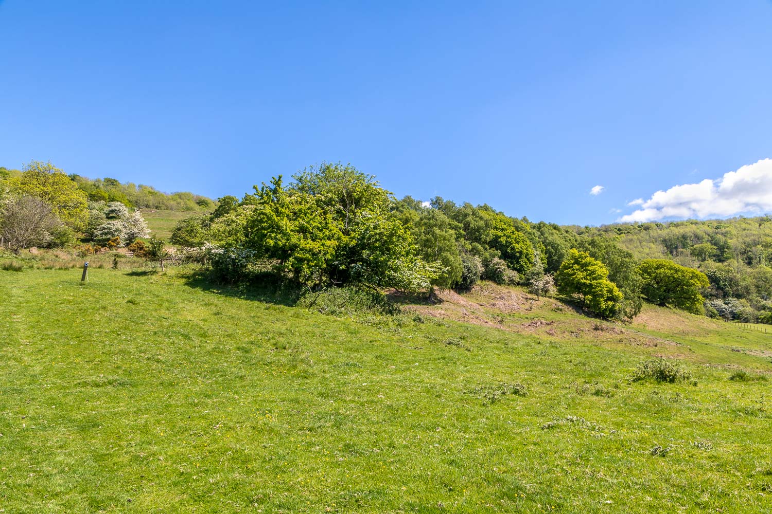 Sutton Bank - Andrews Walks
