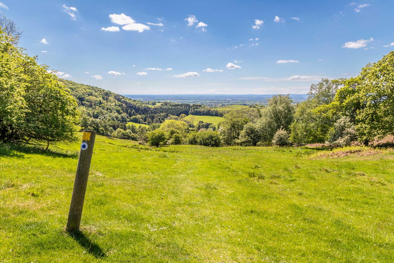 Sutton Bank - Andrews Walks