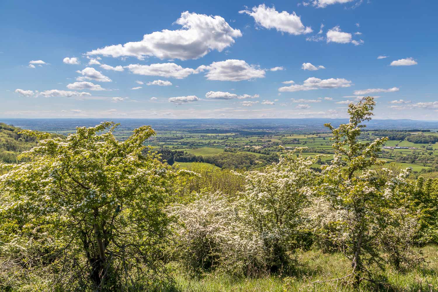 Sutton Bank walk - Finest View in England - North Yorks walks