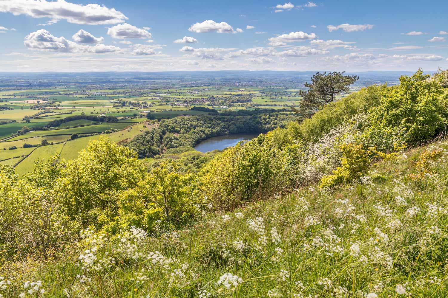 Sutton Bank walk - Finest View in England - North Yorks walks