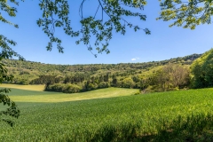 Sutton Bank - Andrews Walks