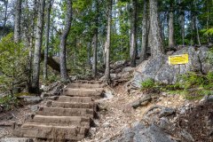 The Chief - Stawamus Chief First Peak - Squamish walks