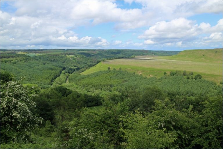 Levisham - Andrews Walks