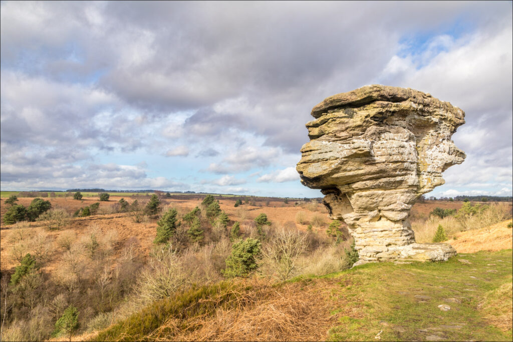Bridestones walk - Dalby forest walks - North Yorkshire walks