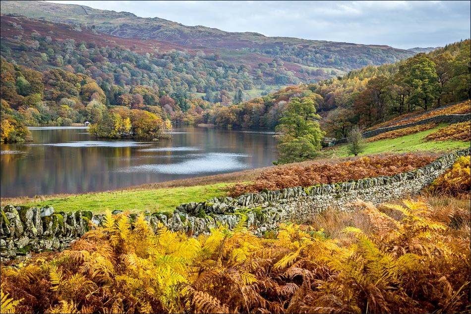 Rydal Water Walk Grasmere Walk Loughrigg Terrace Lake District Walk